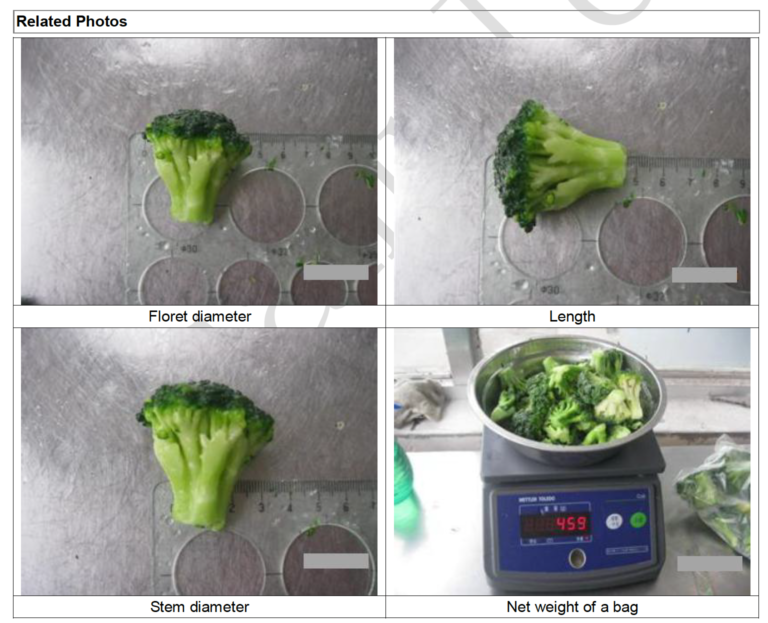 Mastering Food Quality Control: Audit and Inspection Methods - HQTS