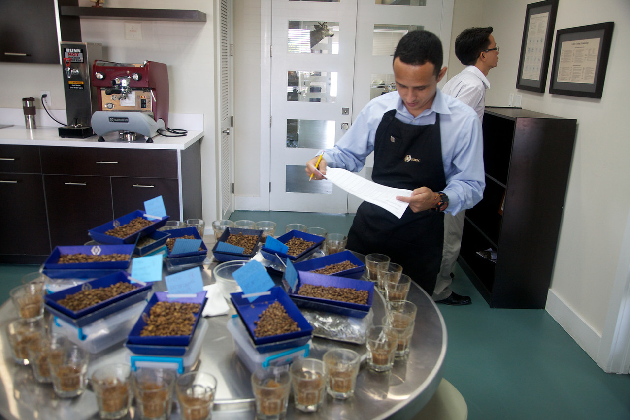 Evaluating Coffee Quality with the Cupping Test - HQTS